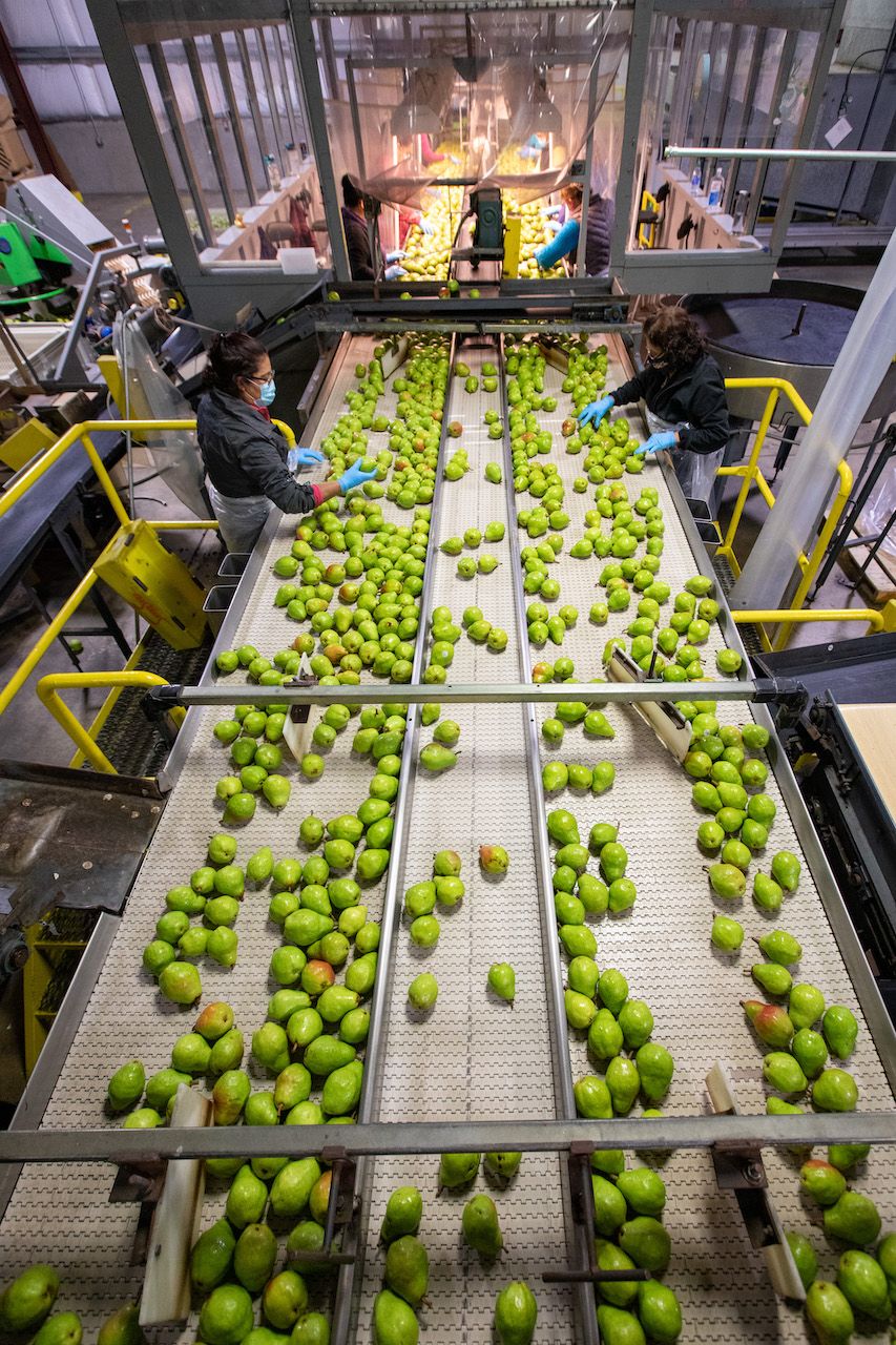 Duckwall Fruit | Quality Pears