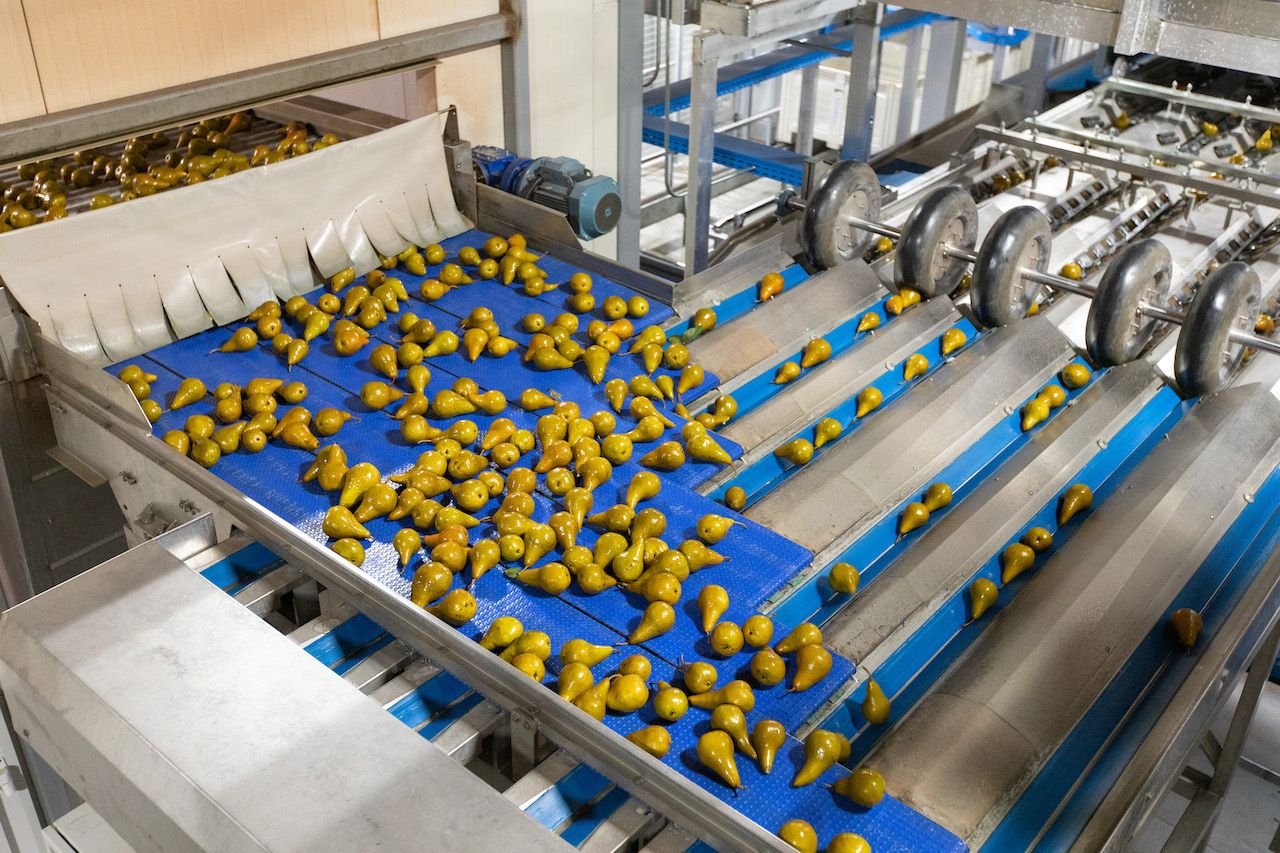 Duckwall Fruit | Quality Pears